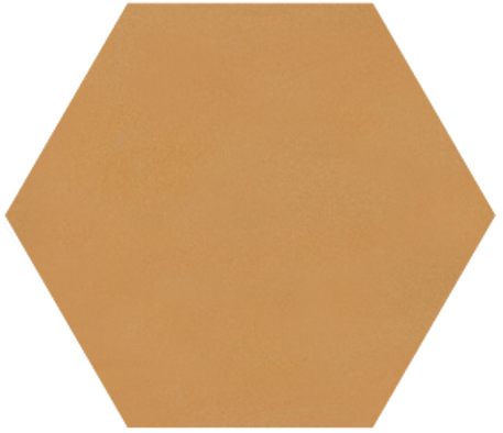 8" x 9" Hexagon - Caramel - Custom | Cement and Concrete Tiles ...