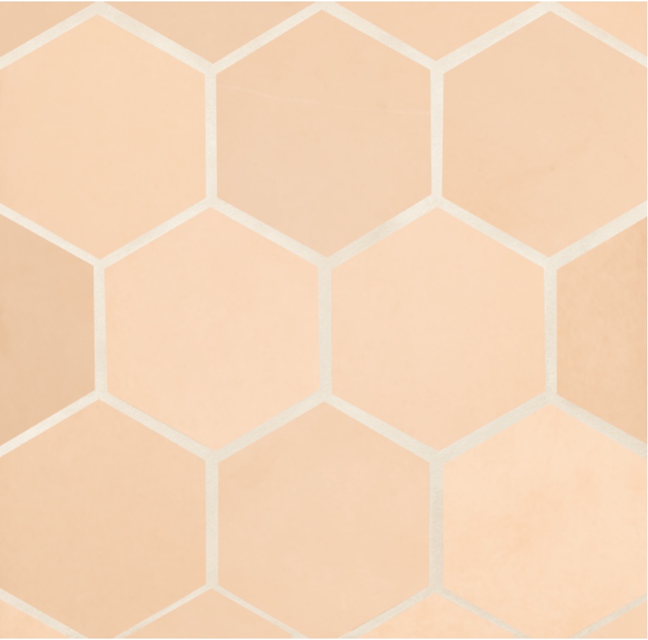 Granada Tile - Hexagon 8" x 9" Blossom Smooth Product sheet
